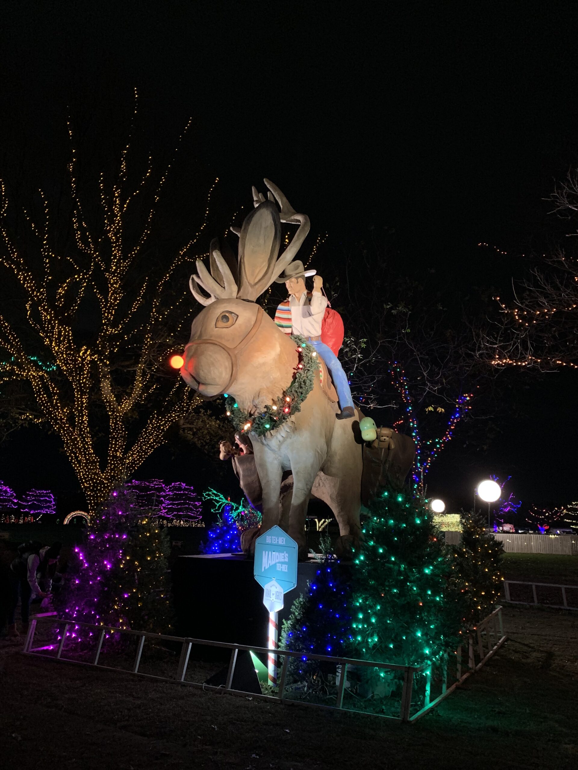 The Best Festive Holiday Events in Austin: 2025 - Austin With Kids