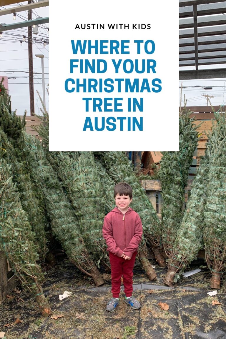 Where to Buy Christmas Trees Around Austin - Austin With Kids